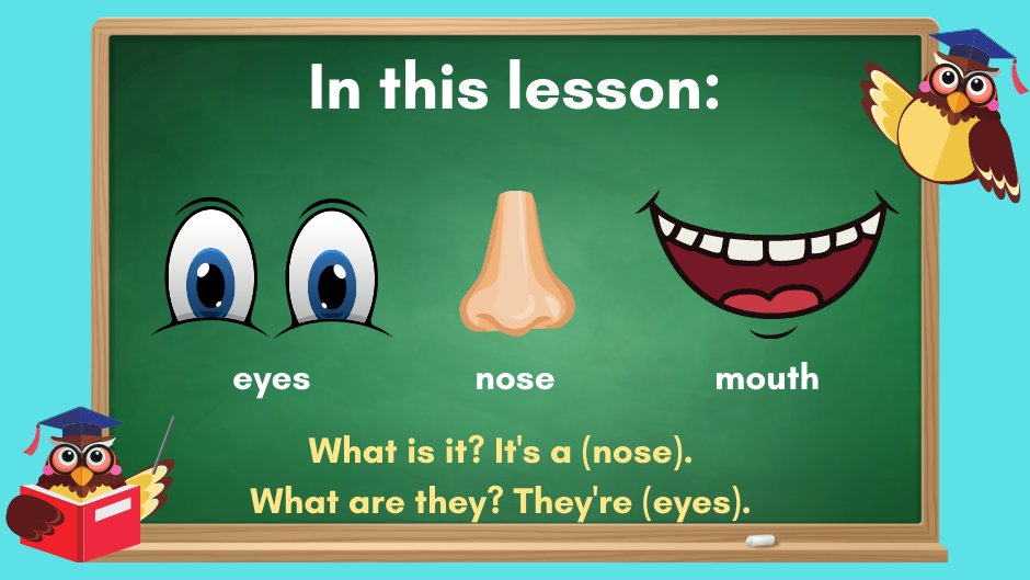 ESLedb FREE Online ESL Curriculum - LEVEL 1, UNIT 3, Lesson 1 (Body ...
