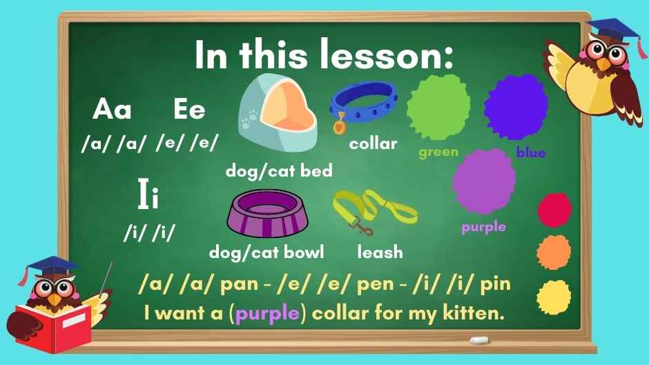 ESLedb FREE Online ESL Curriculum - LEVEL 1, UNIT 7, Lesson 6: (Colors ...